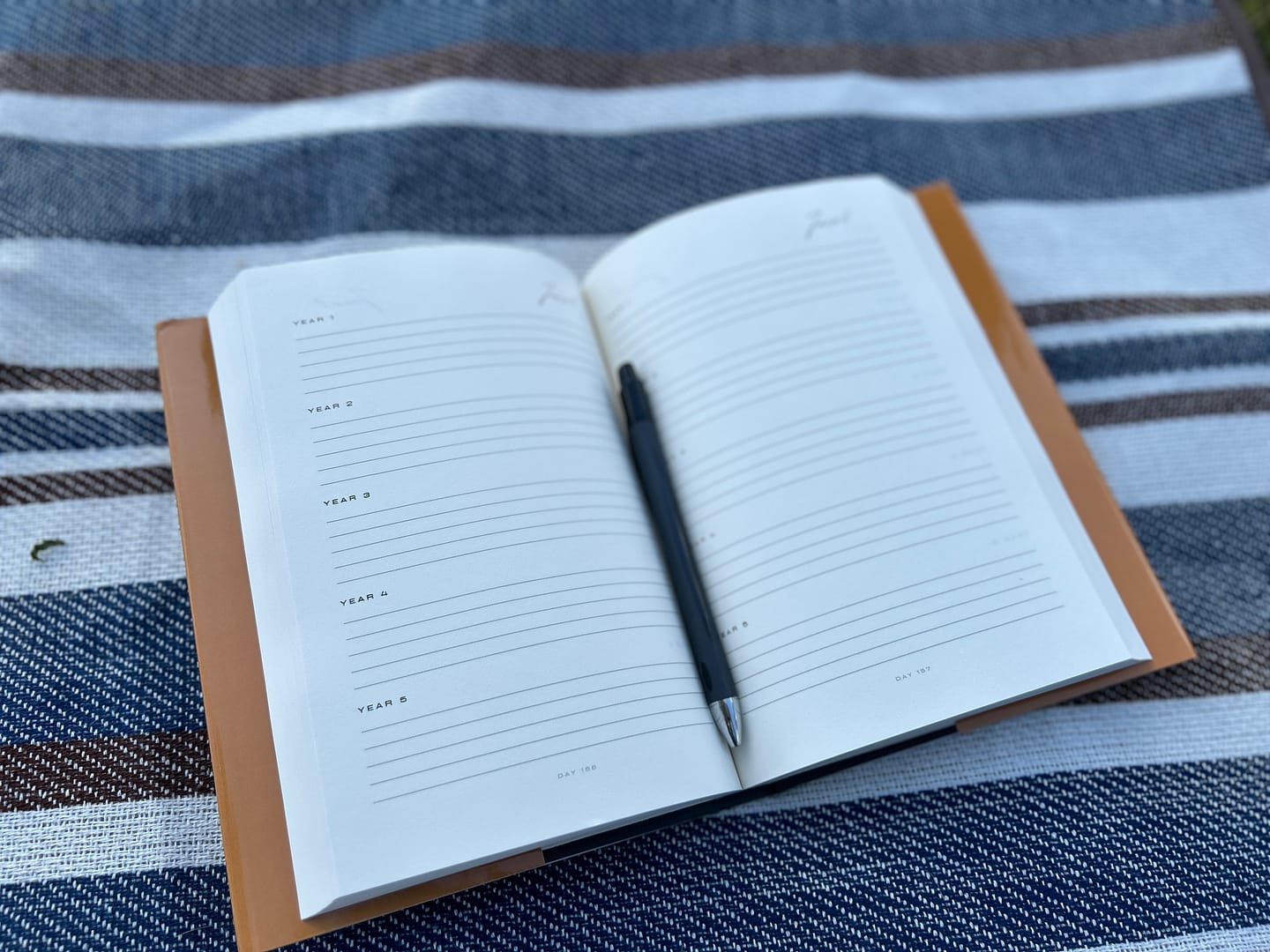 5 Year Journal – Curly & Badger